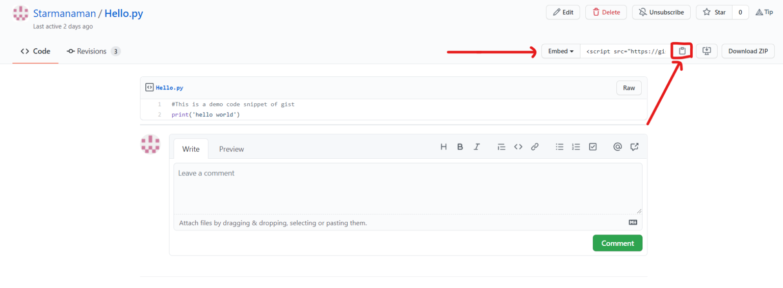 What Is Github Gist And How To Create It 2021 Buggy Programmer